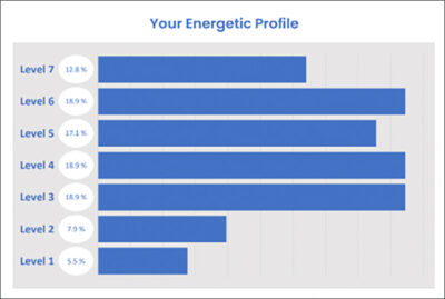 Learn with Aileron: What’s Your Natural Energetic Response to Stress ...